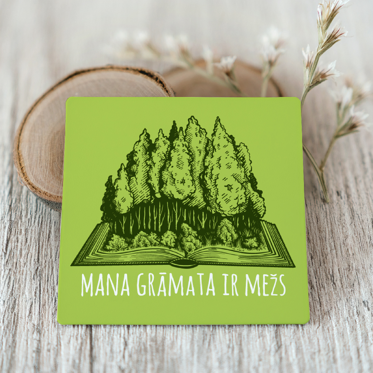 Dadzis, magnēts, “Mana grāmata ir mežs” – DabaDaba