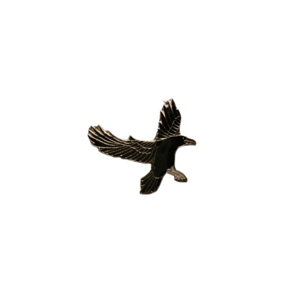 Motacilla, nozīmīte, krauklis – DabaDaba